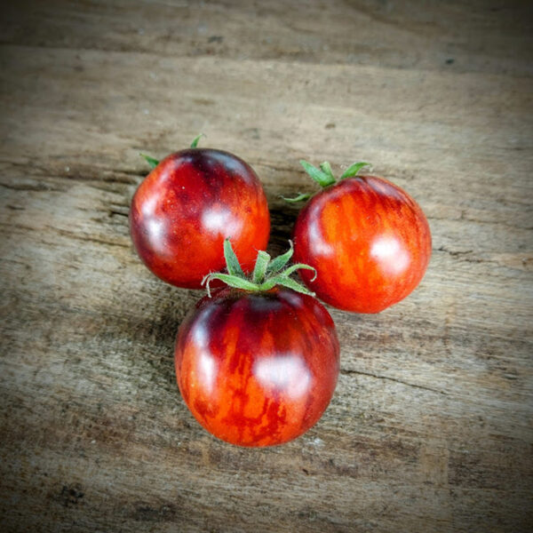 Semillas de Tomate Dark Tiger – Huerto Angachilla